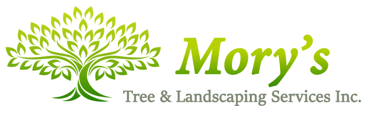 Mory Logo